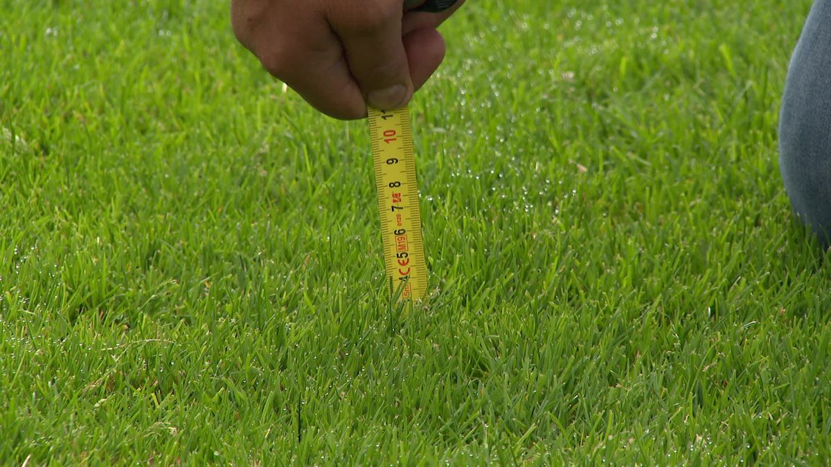 Van kort gewiekt gras tot extra kleedkamers, Zeeuws Elftal maakt zich ...