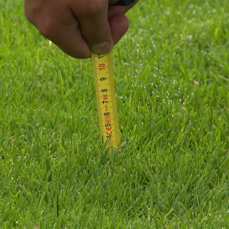 Van kort gewiekt gras tot extra kleedkamers, Zeeuws Elftal maakt zich ...