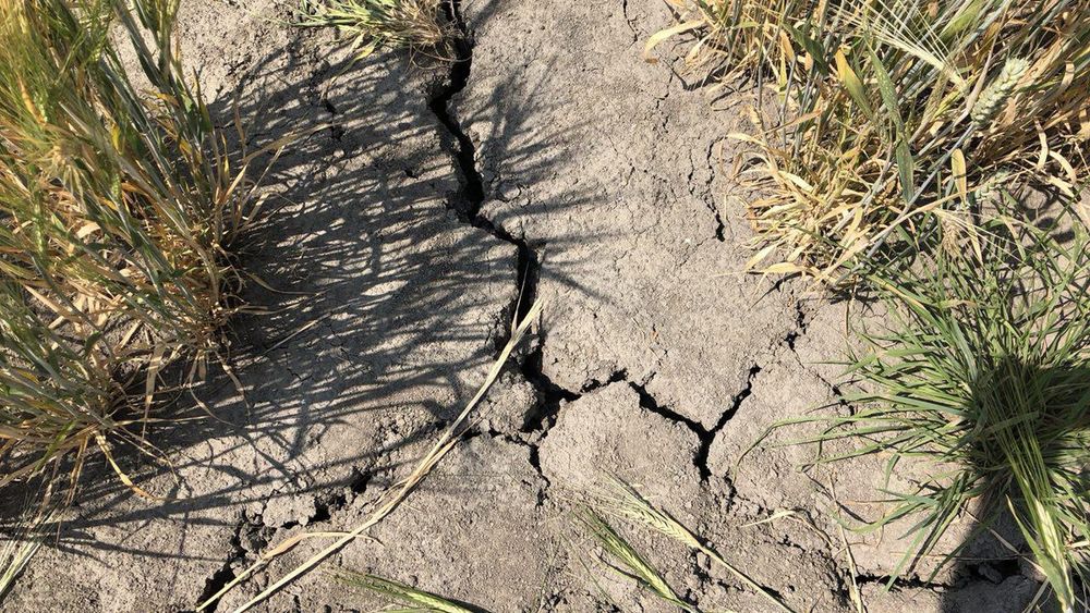 Geoloog: 'Kans op grotere schade bij aardbevingen door extreme droogte ...
