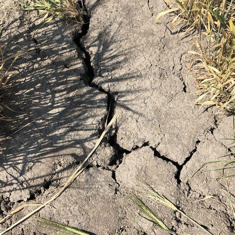 Geoloog: 'Kans op grotere schade bij aardbevingen door extreme droogte ...
