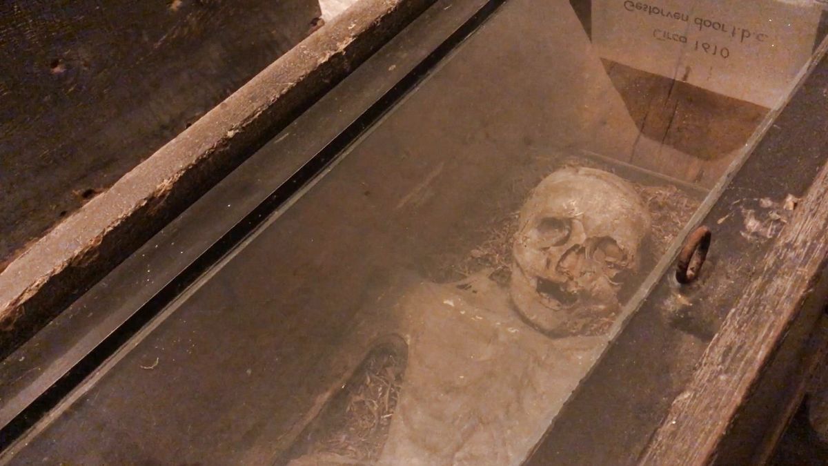 Mummies van Wiuwert opgefrist met nieuw lesmateriaal - Omrop Fryslân