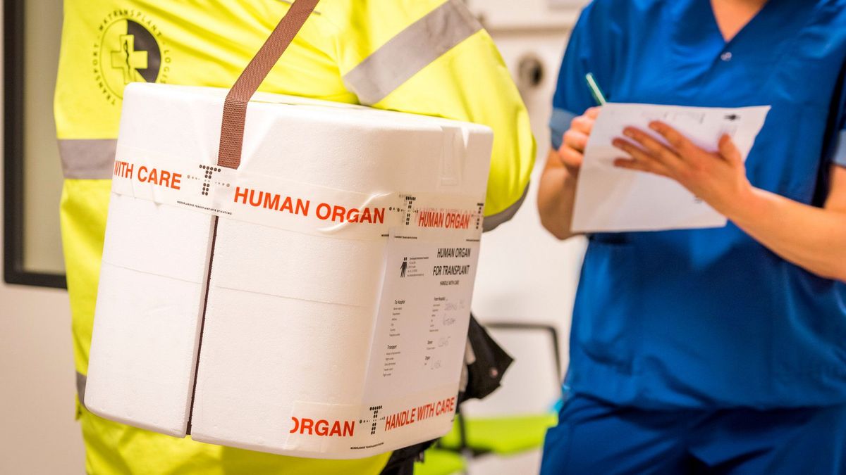 Orgaandonor ja of nee? De keuzebrief ligt op de mat - Omroep West