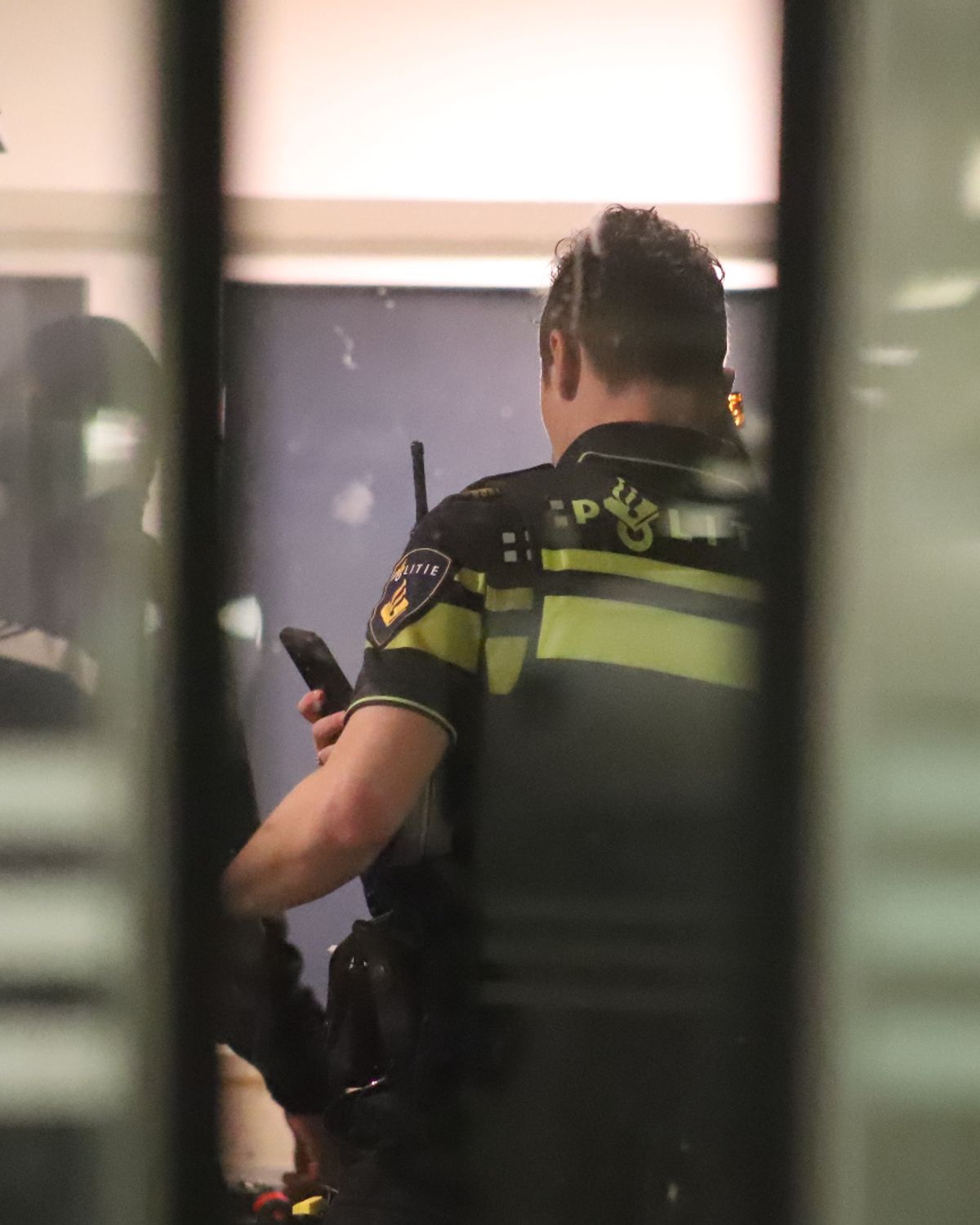 Boa mogelijk geslagen tijdens aanhouding - Rijnmond