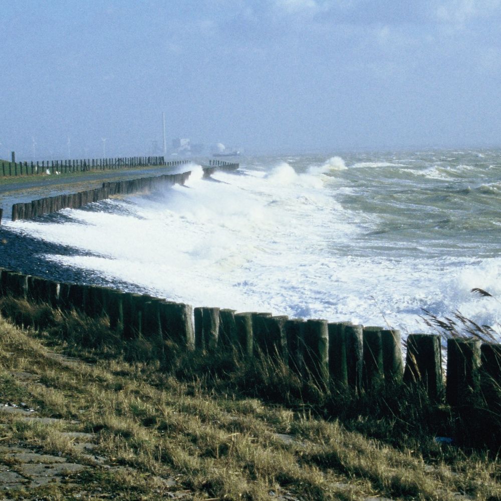 'Veilige dijken zijn niet vanzelfsprekend', waterschap vertelt over wat ...