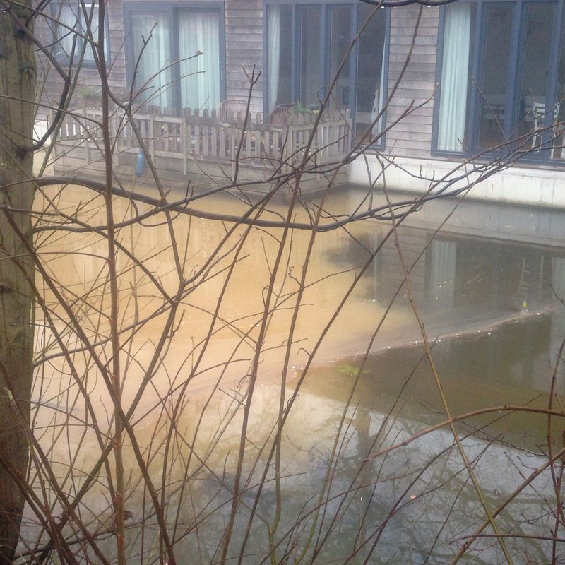 Smerige kleur van water Leidse Rijn verontrust omwonenden - RTV Utrecht