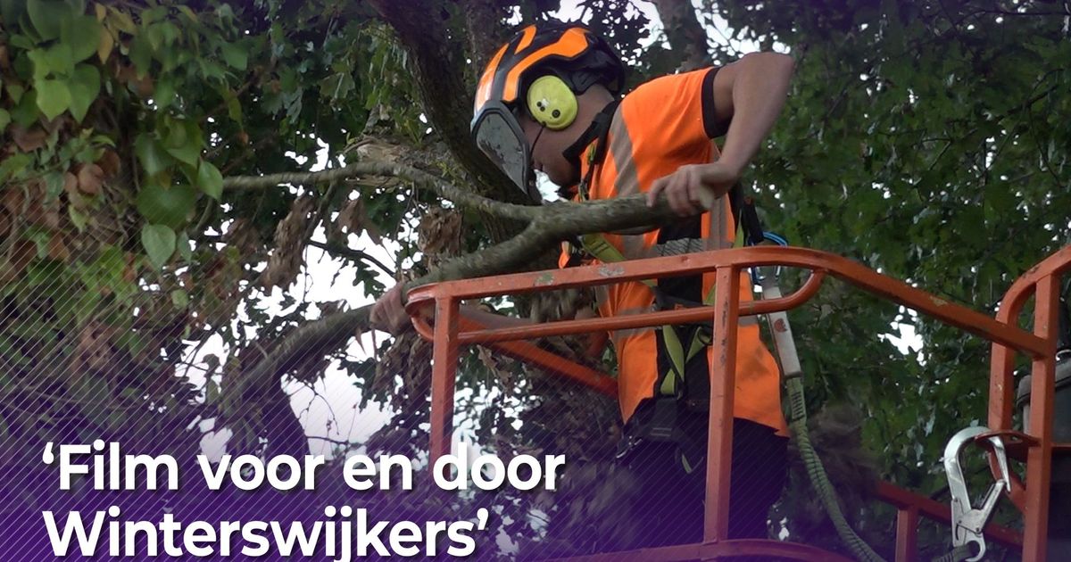 Film over de storm en valwind in Winterswijk - Omroep Gelderland