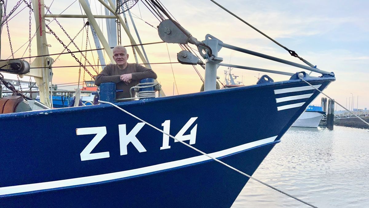 Zoutkamper garnalenvisser Bolt verkoopt zijn kotter: ‘De strop wordt ...