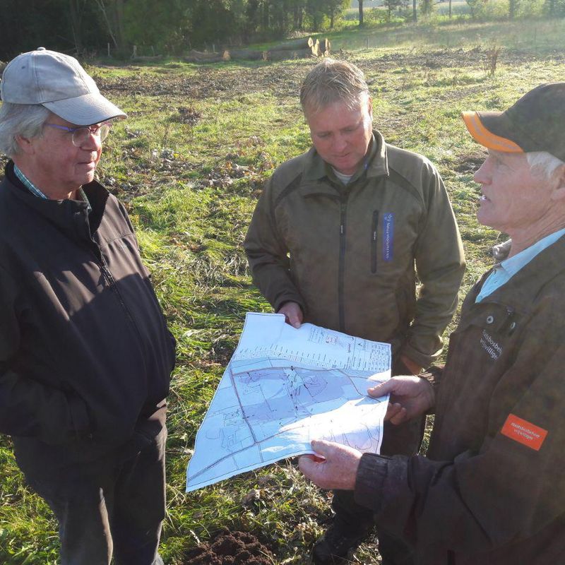 Bomen maken plaats voor heide in Midlaren - RTV Drenthe