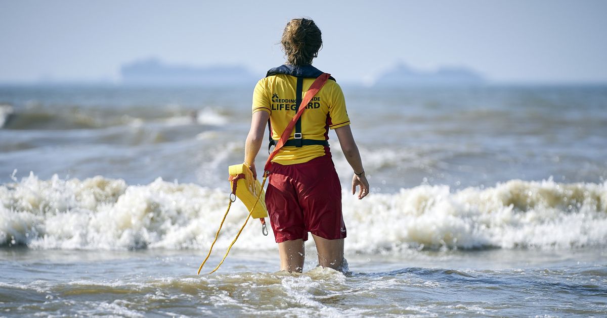 Gele vlag gehesen vanwege gevaarlijke zee - Omroep West