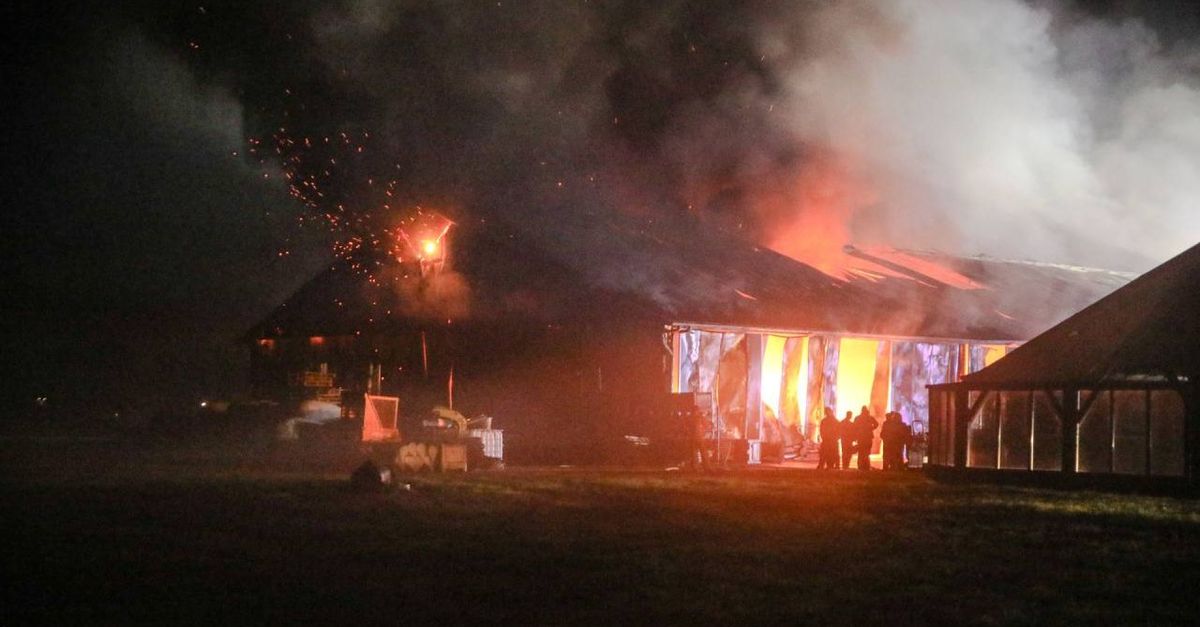 Duizend geiten komen om bij grote stalbrand - Omroep Gelderland