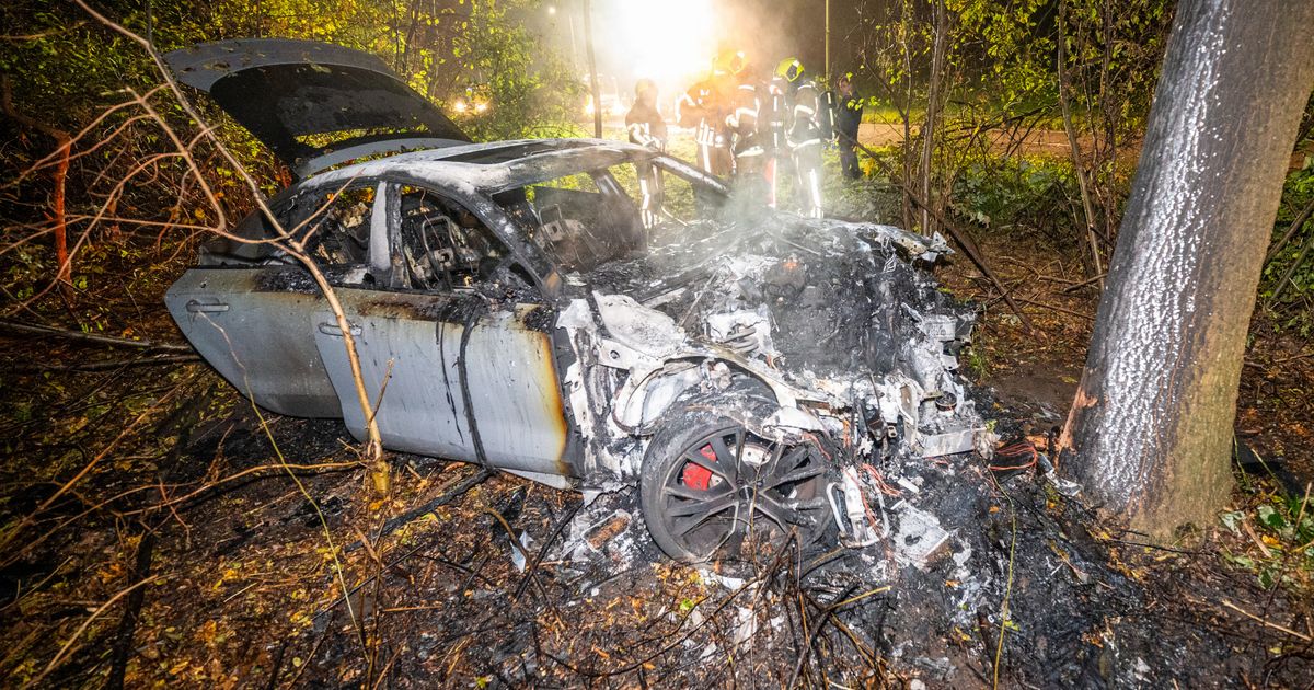 Auto gaat in vlammen op na crash tegen boom, bestuurder ligt gewond ...