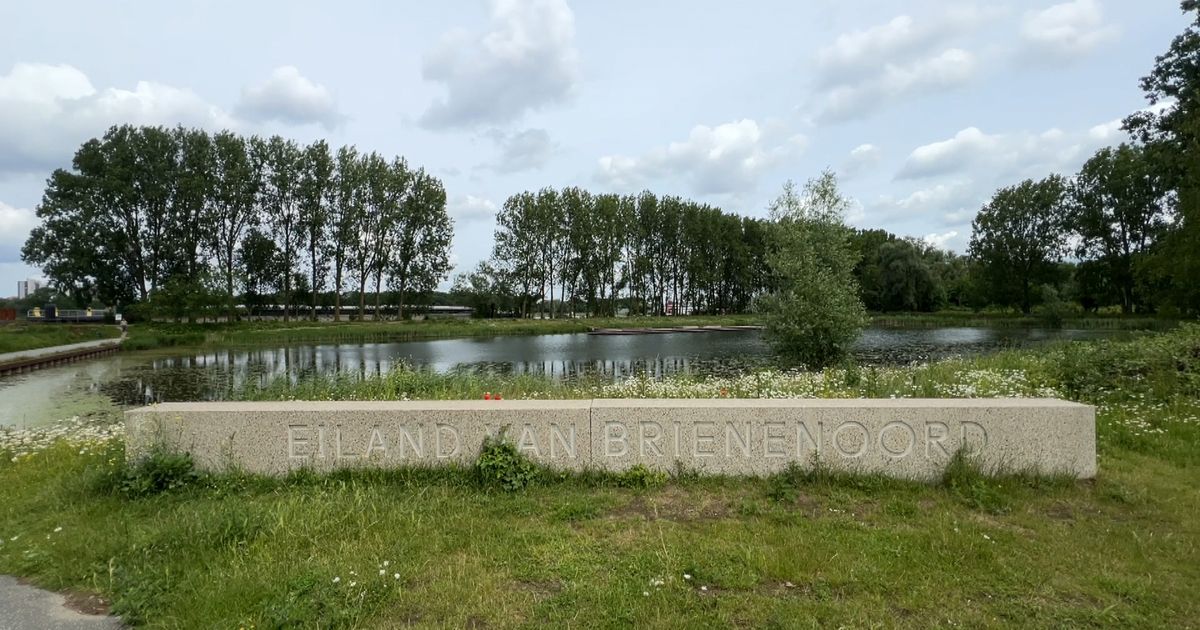 Van blubber tot biodiversiteit: Waarom Rotterdam een nieuw getijdenpark ...
