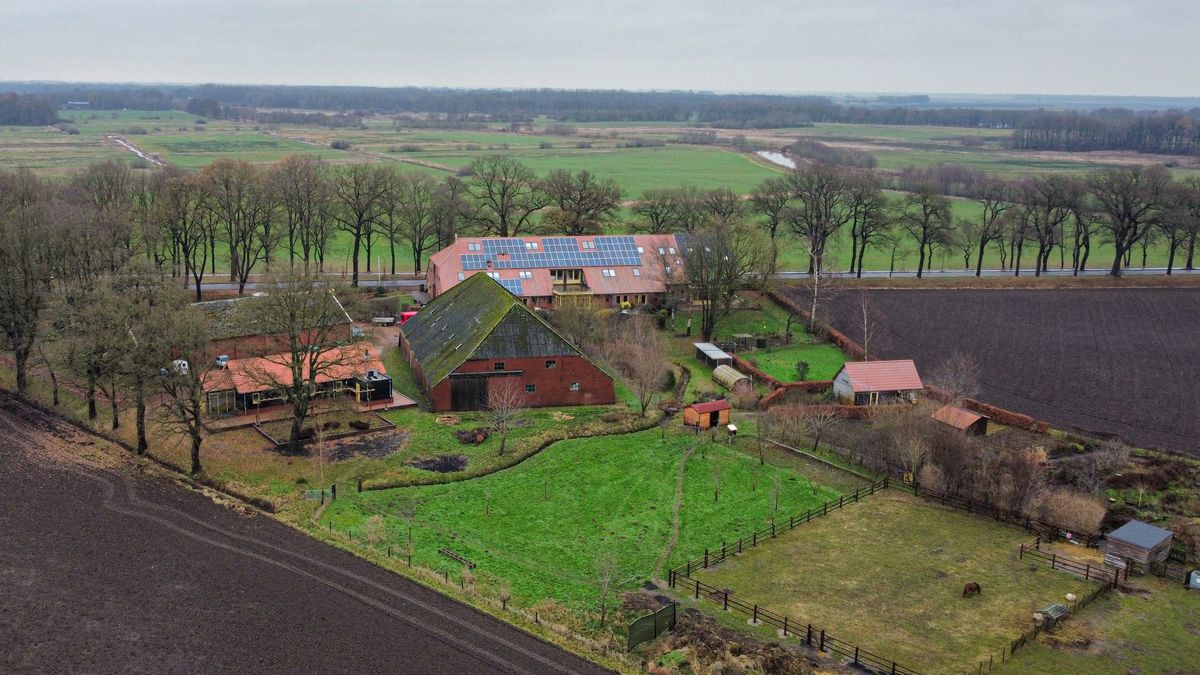 Proces zorgboerderij Wedde gaat van start: 'Ze mogen hier niet mee ...