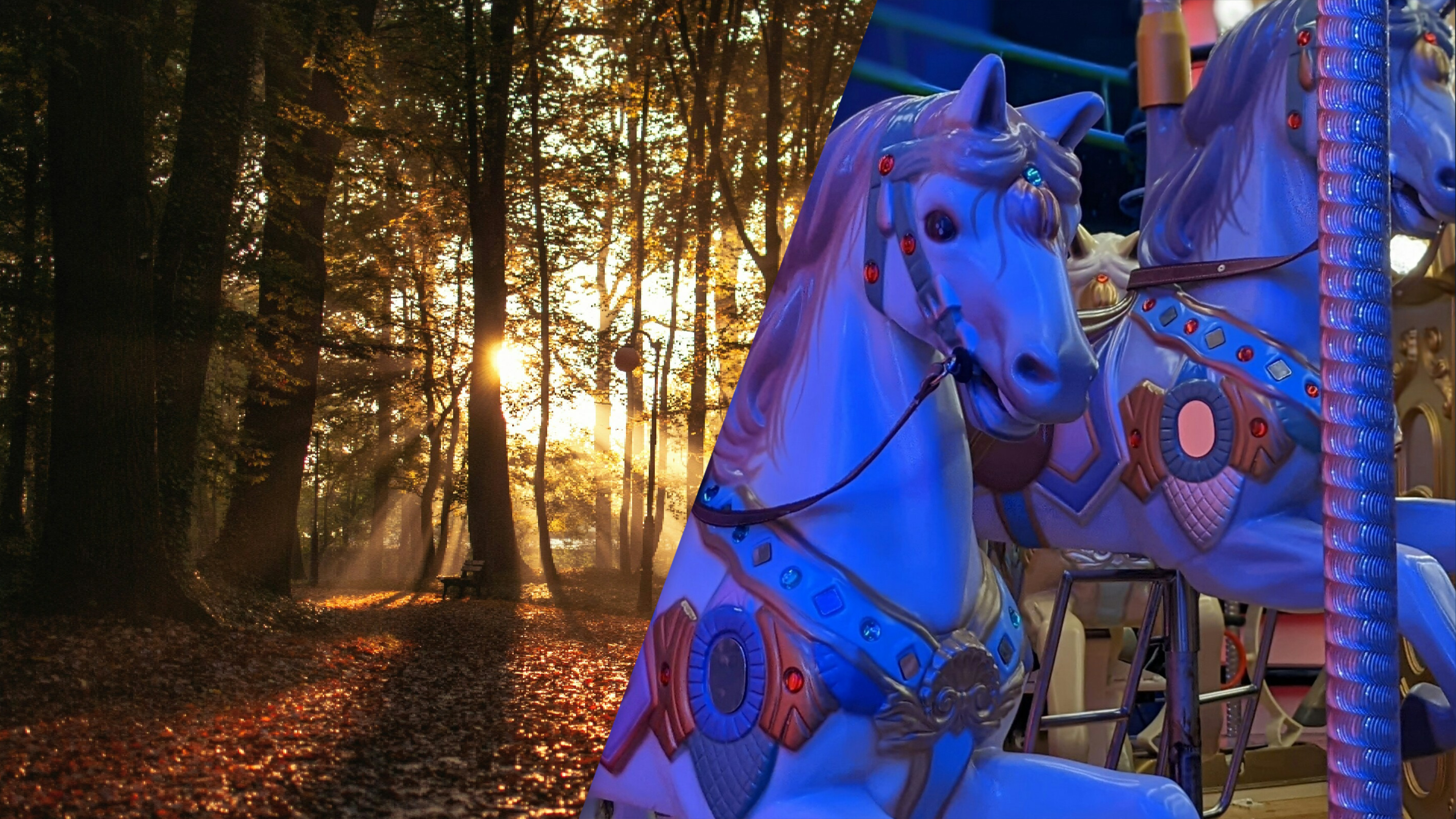 500 jaar feestvieren op de Jouster Merke: "Het zit in het DNA van de ...