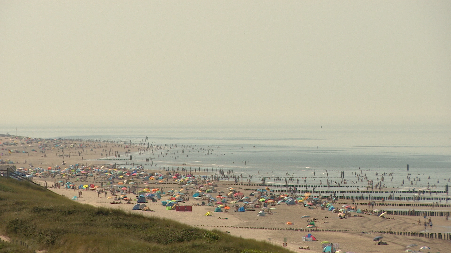 Aanschuiven in de file om op het strand te komen: 'Ik heb het nog nooit ...