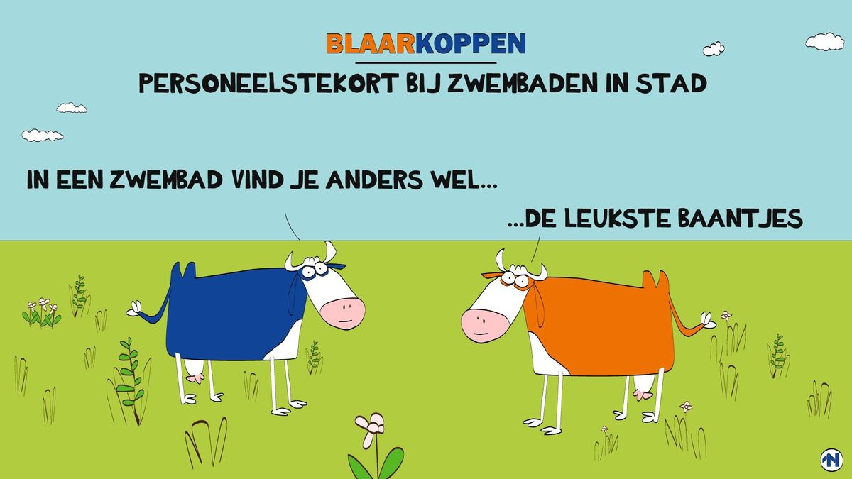 Blaarkoppen snappen het niet - RTV Noord