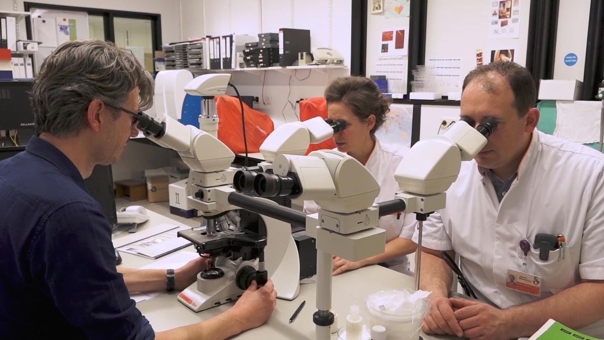 Ziekenhuis zit krap in de hulpmiddelen - Rijnmond