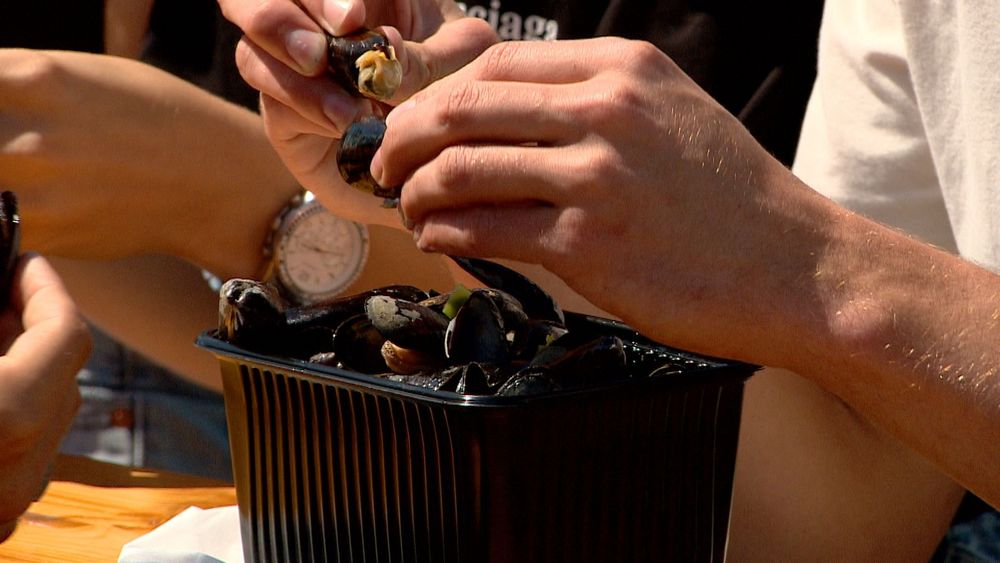 Op mosselen na is alles anders aan Mosselfestival Yerseke 'en dat is ...