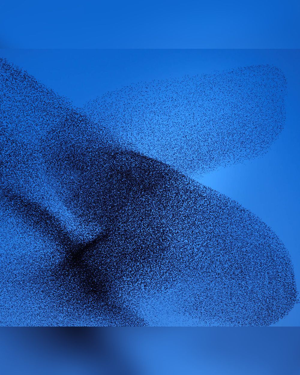 Natuurfotograaf Bosgra exposeert met zijn spreeuwen in Parijs - Omrop ...