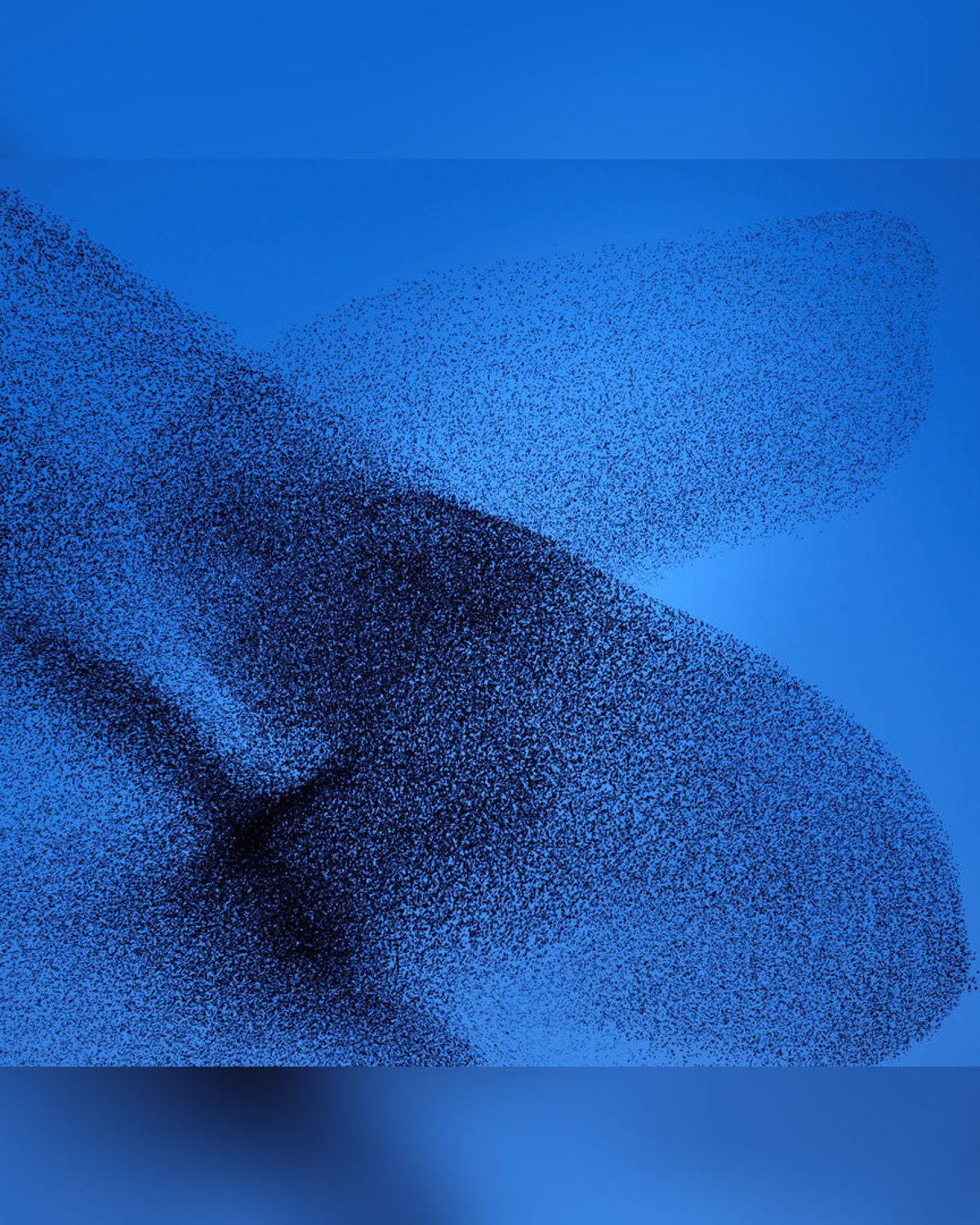 Natuurfotograaf Bosgra exposeert met zijn spreeuwen in Parijs - Omrop ...