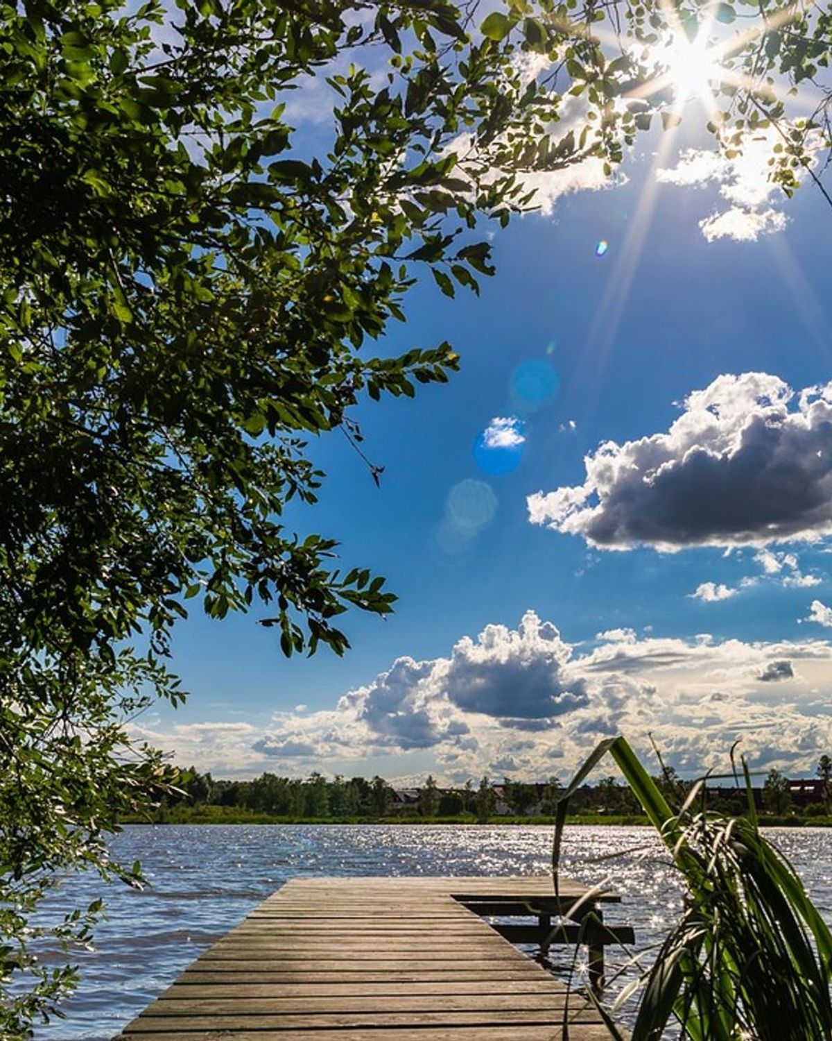Heerlijk weer op komst, 25 graden wordt het hoogtepunt - Rijnmond