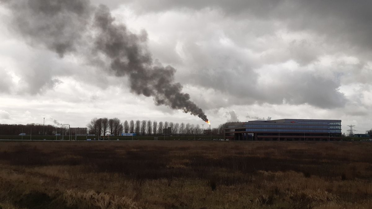 Zwarte rook boven Dow na storing in fabriek - Omroep Zeeland