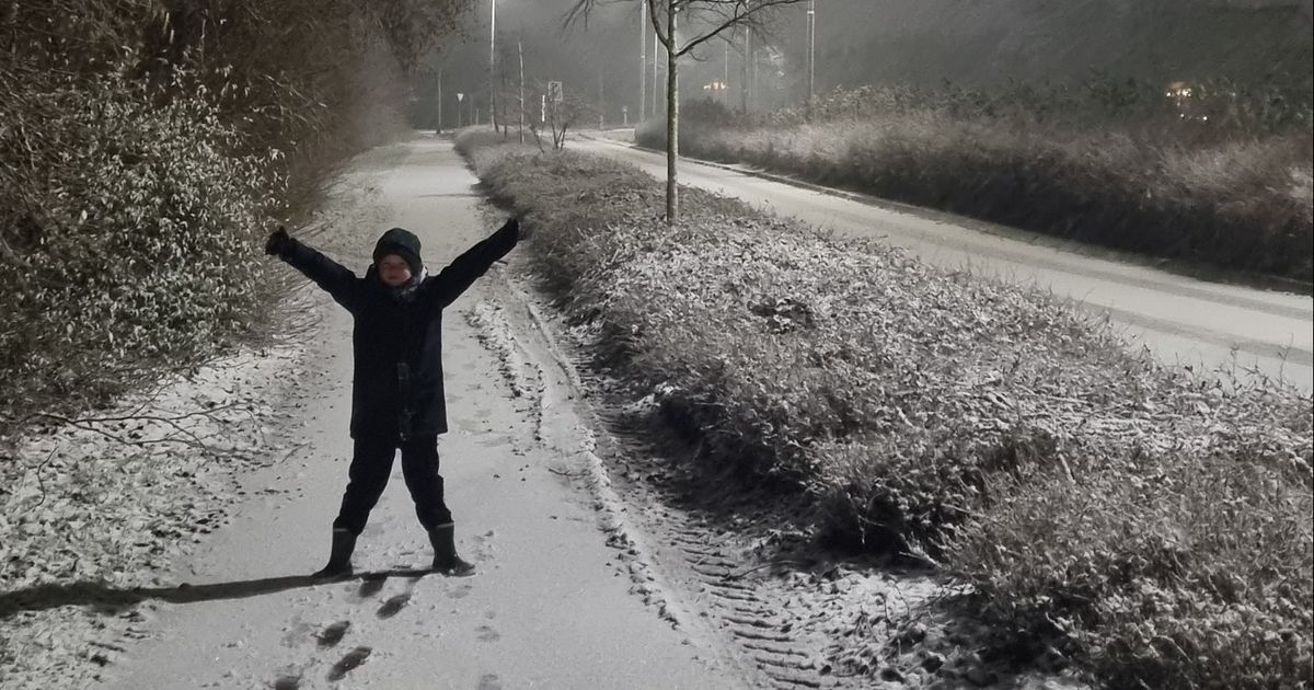 Een witte wereld! Zo werd de regio Rijnmond vanmorgen wakker - Rijnmond