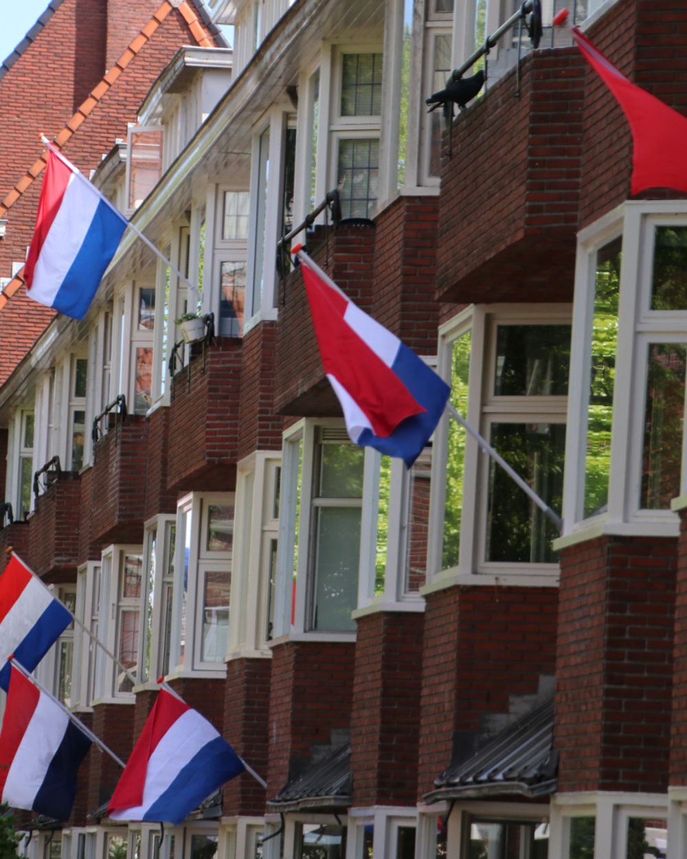 Lopend Vuur: Bevrijdingsdag moet ieder jaar een vrije dag zijn - RTV Noord