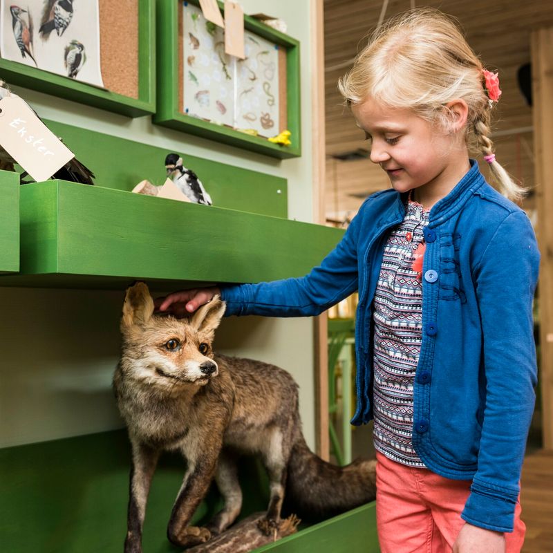 Kijkje in de natuur: hoe dode dieren tot leven lijken te komen - RTV ...