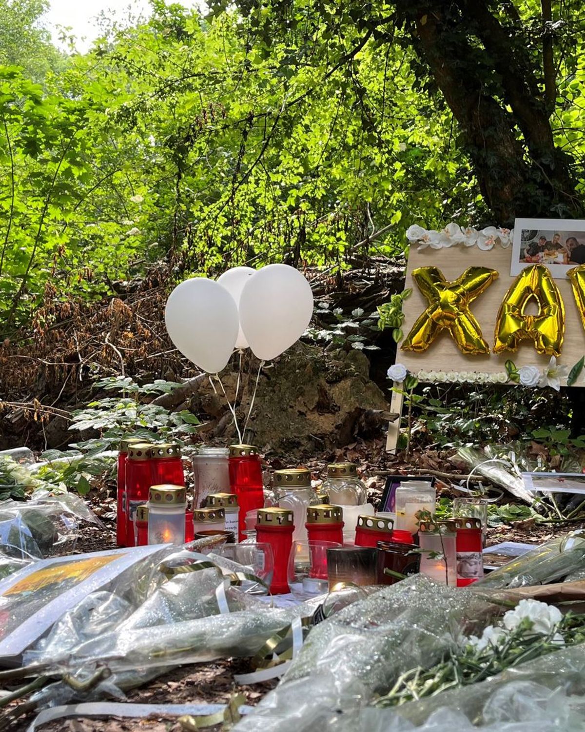 Moord Xavier Durlinger (19): voldoende bewijs om Merlijn C. vast te ...