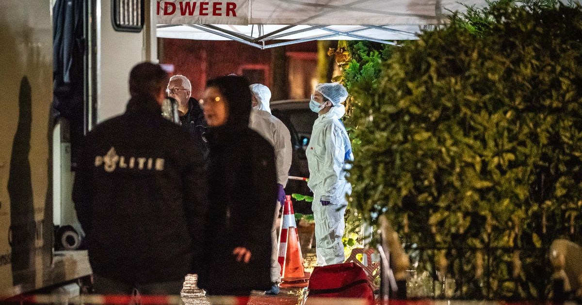 OM wil 8 jaar cel voor 66-jarige man die zijn vrouw Rienalda na 30 jaar samen doodstak - RTV Utrecht