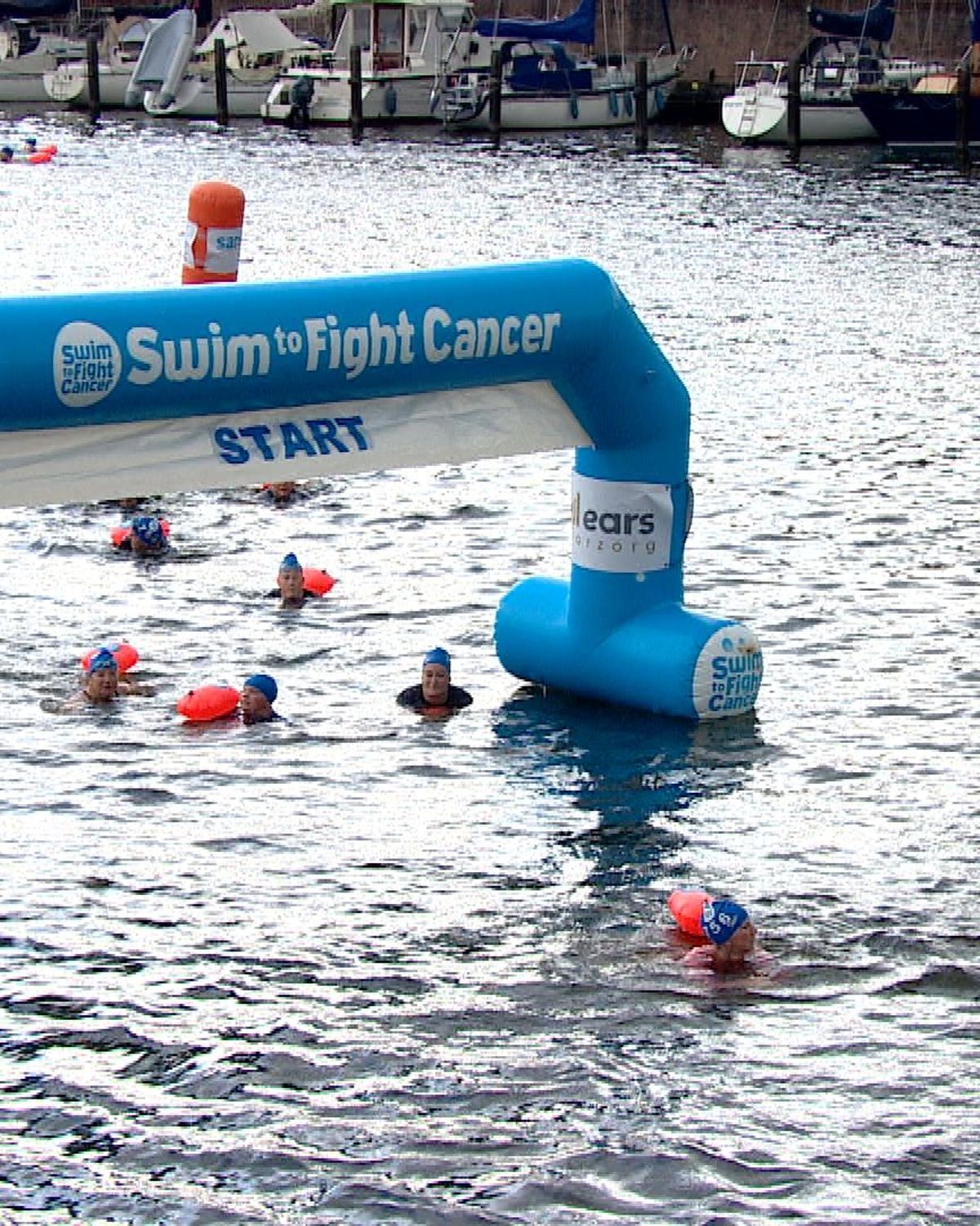 Eerste Swim to Fight Cancer levert ruim halve ton op - Omroep Zeeland