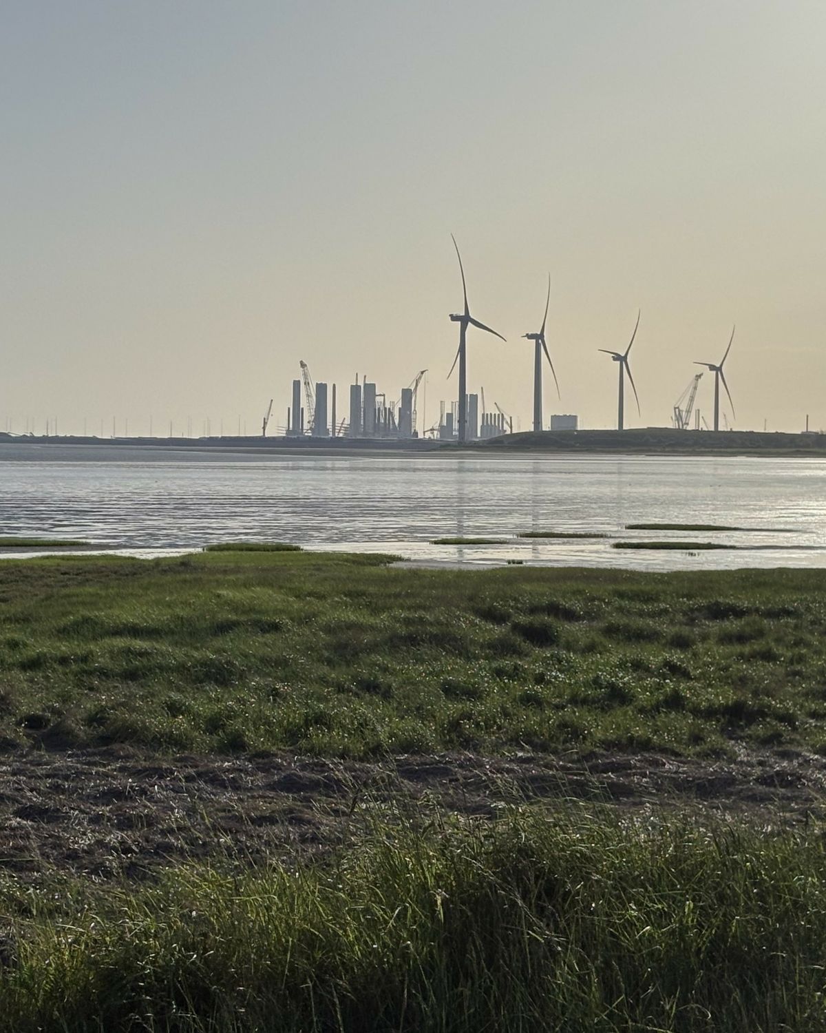 Er missen drie mensen op de Waddenzee-conferentie: de ministers die ...