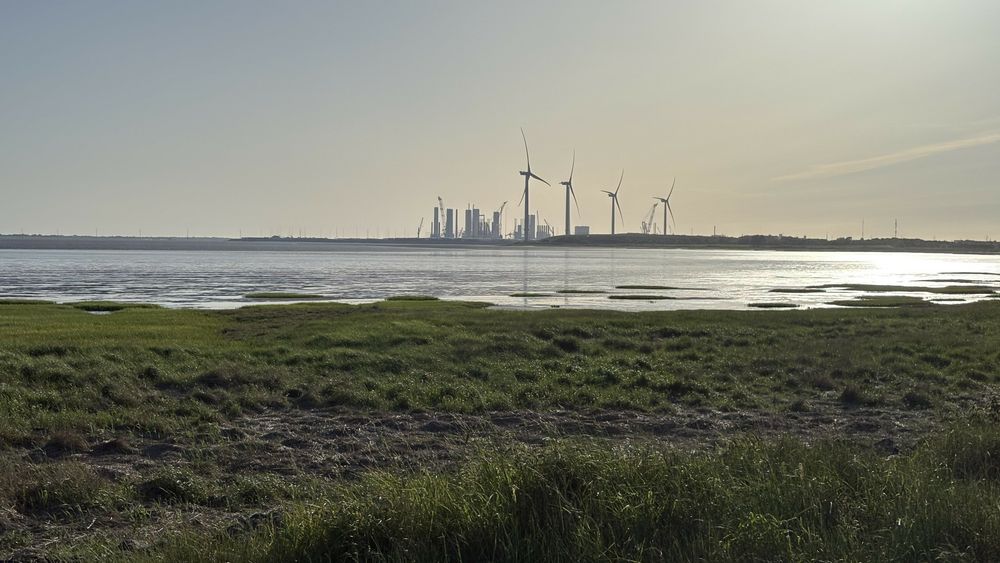 Er missen drie mensen op de Waddenzee-conferentie: de ministers die ...
