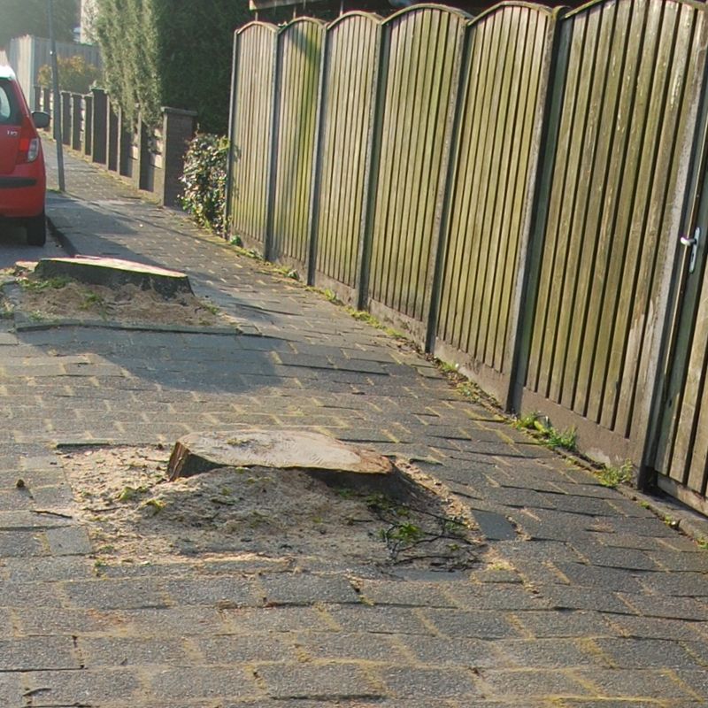 Rob van der Linden maakt zich boos over bomenkap in Heerlen - L1