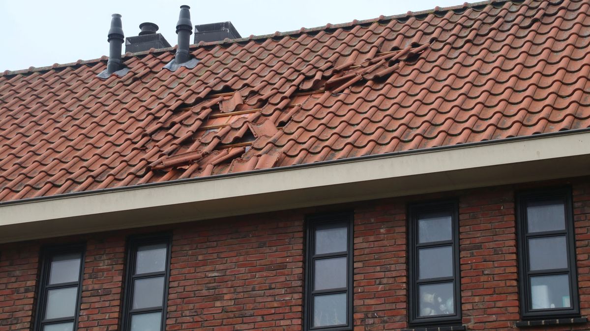 Meldkamer wordt platgebeld: ‘Bel alleen bij acuut gevaar de noodnummers ...