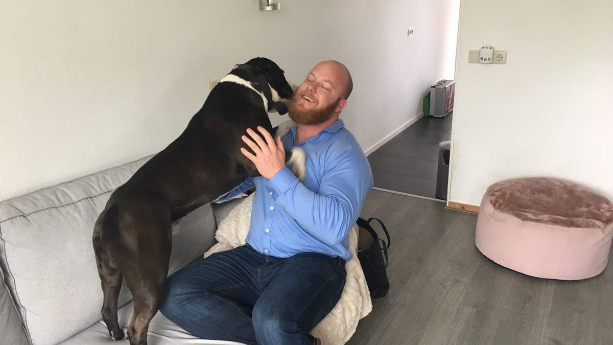Hondentrainer: Veel onduidelijkheid over cursus voor vechthonden - RTV ...