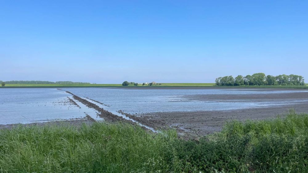Natte grond bezorgt boeren problemen: 'Kalenderlandbouw werkt niet ...