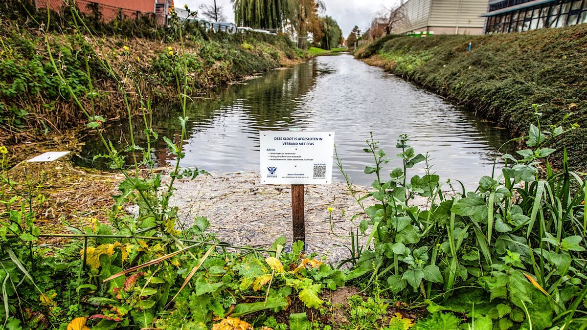 Vervuilde sloot wordt leeggepompt, gaat weken duren - Omroep West
