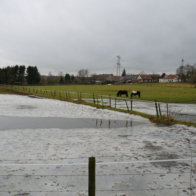 Schadevergoeding na overstroming Maas - L1