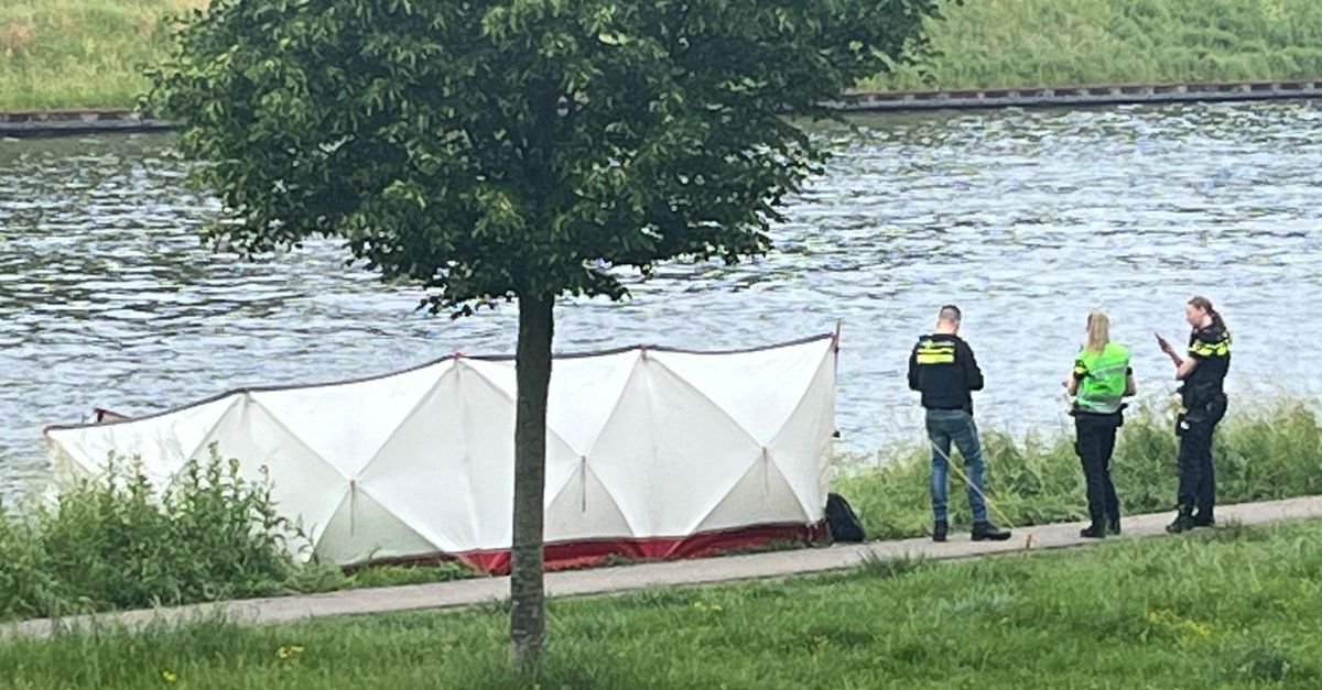 Overleden persoon aangetroffen in Utrechtse wijk Oog in Al - RTV Utrecht