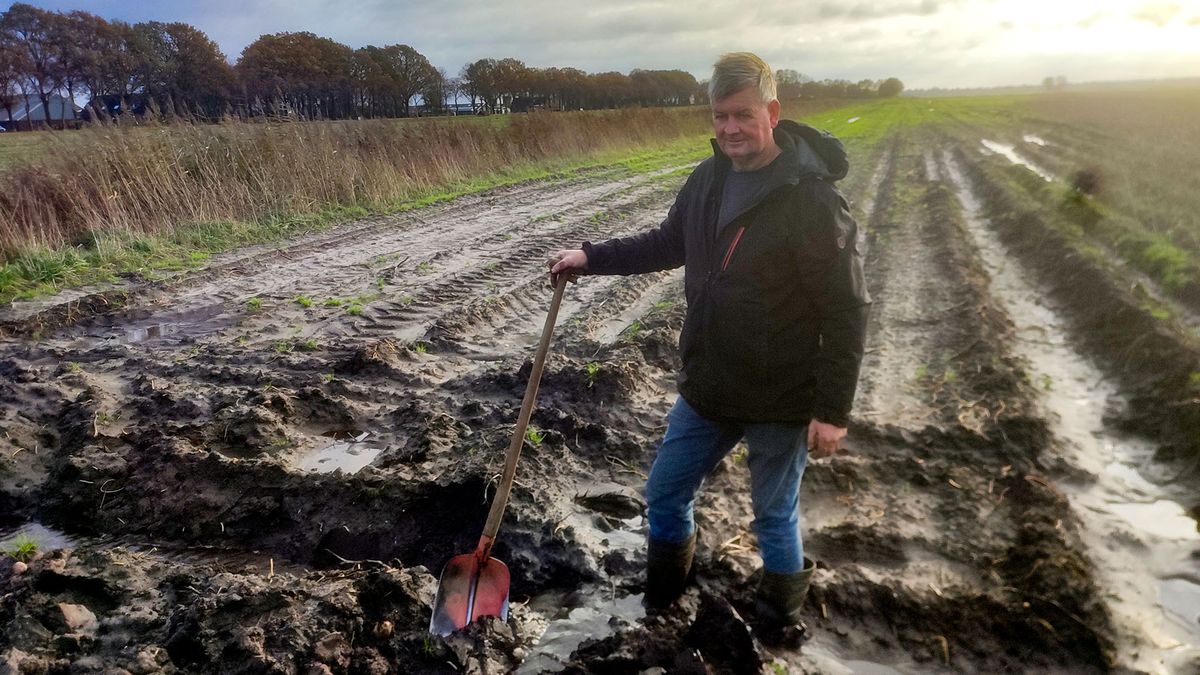 Boer Harm krijgt aardappels niet uit natte grond: "Het wordt steeds ...