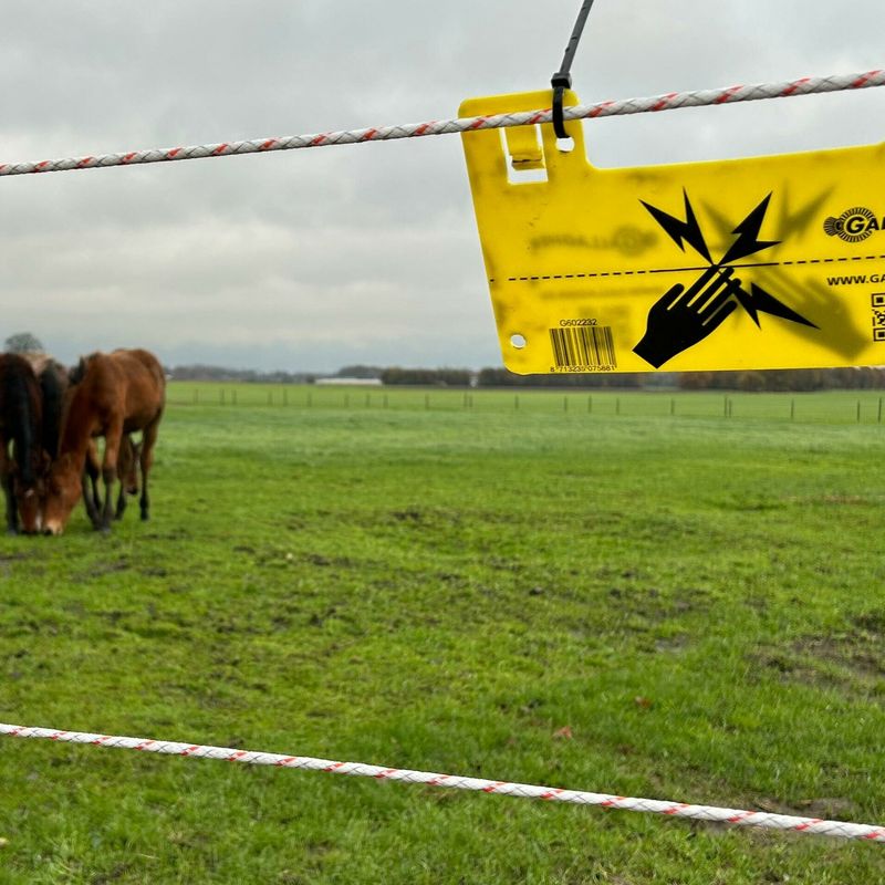 Minder wolvenslachtoffers in Vlaanderen: wat kunnen we leren van het ...