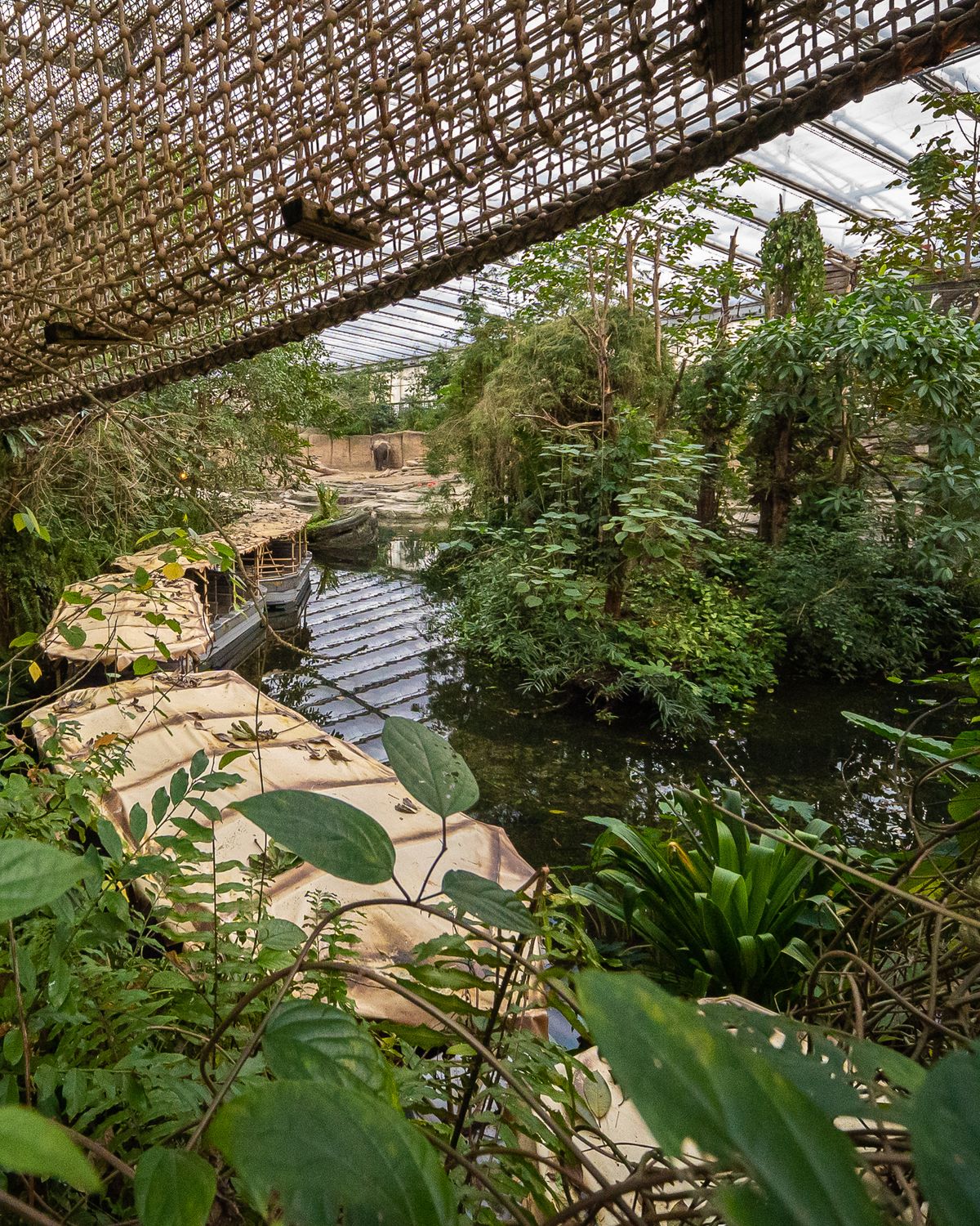 Overdekt oerwoud Wildlands wordt vernieuwd - RTV Drenthe
