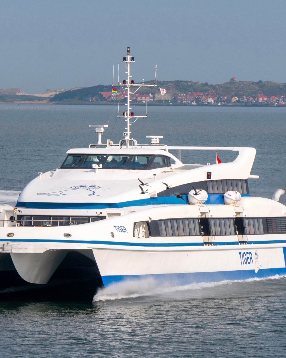 Kapitein snelboot Tiger in hoger beroep vrijgesproken: "Geen schuld aan ...