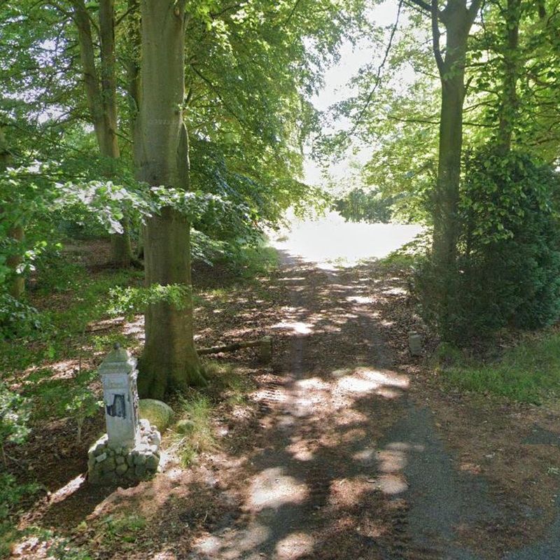 Raad van State: dwangsommen voor caravanbewoner Alex in Drijber zijn ...