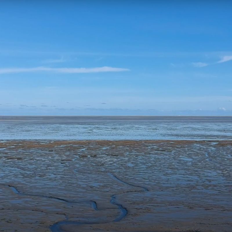 Unesco: mijnbouw bedreigt Waddenzee als werelderfgoed - RTV Noord