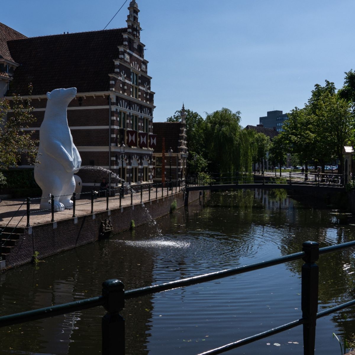 Plassende Delfzijlster ijsbeer zoekt nieuw adres: weg uit Amersfoort ...