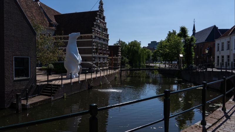 Plassende Delfzijlster ijsbeer zoekt nieuw adres: weg uit Amersfoort ...