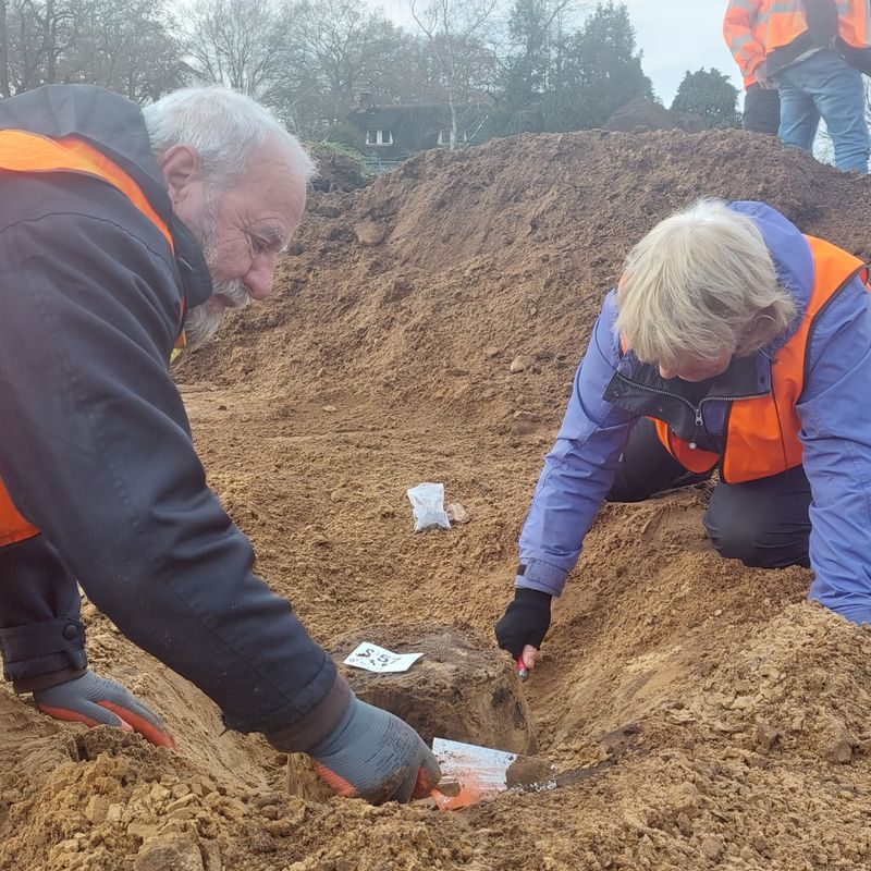 Grafveld bij Steenwijk blijkt één van de grootste van Noord-Nederland ...
